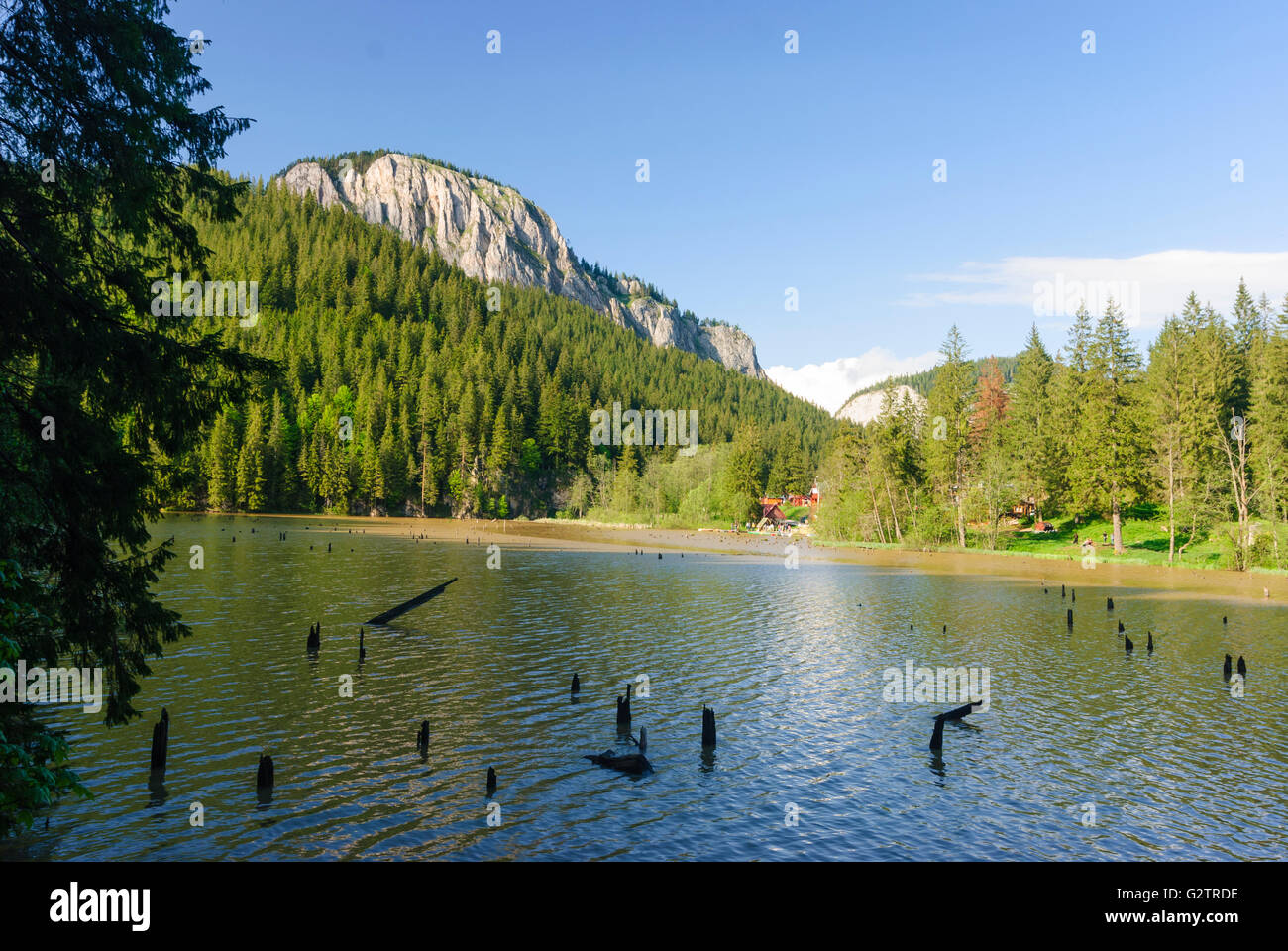 Lacul Rosu (Roter See), Rumänien, Moldau, Moldawien, Moldau Karpaten ...