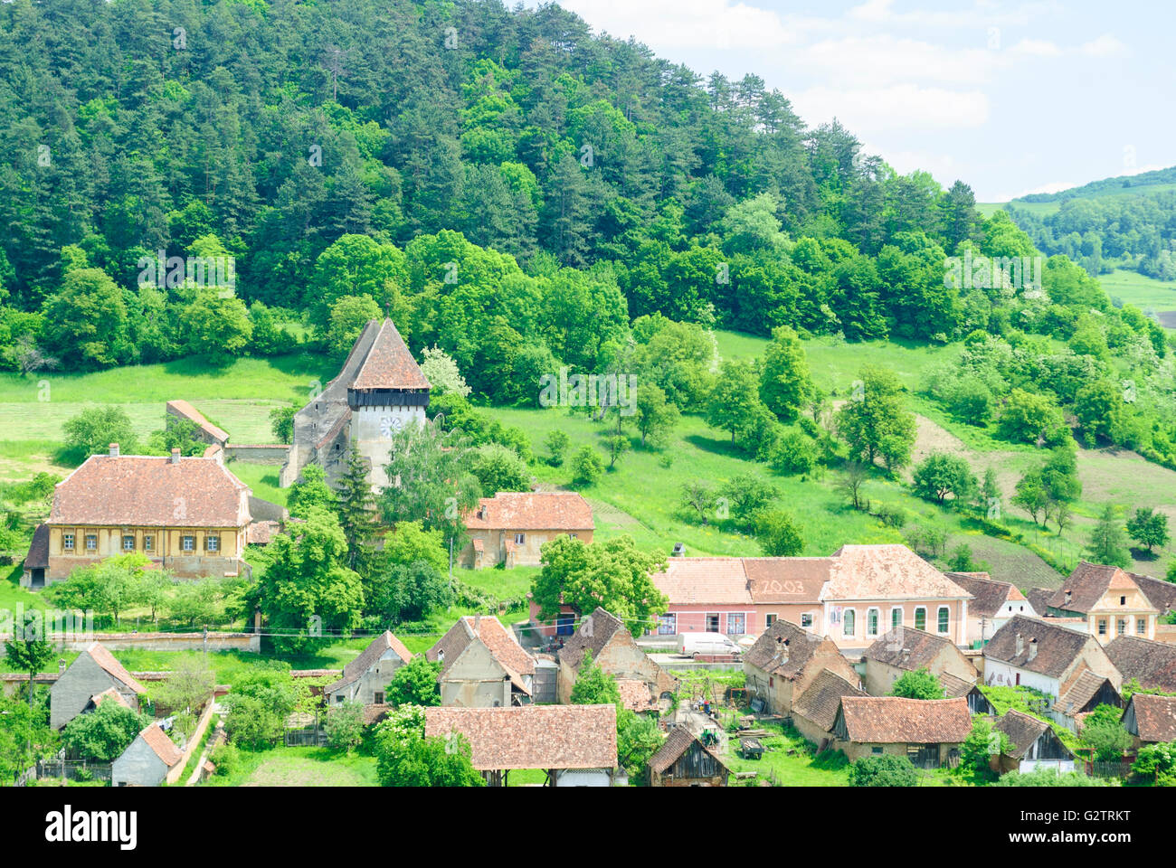 Copsa stute grosskopisch -Fotos und -Bildmaterial in hoher Auflösung ...