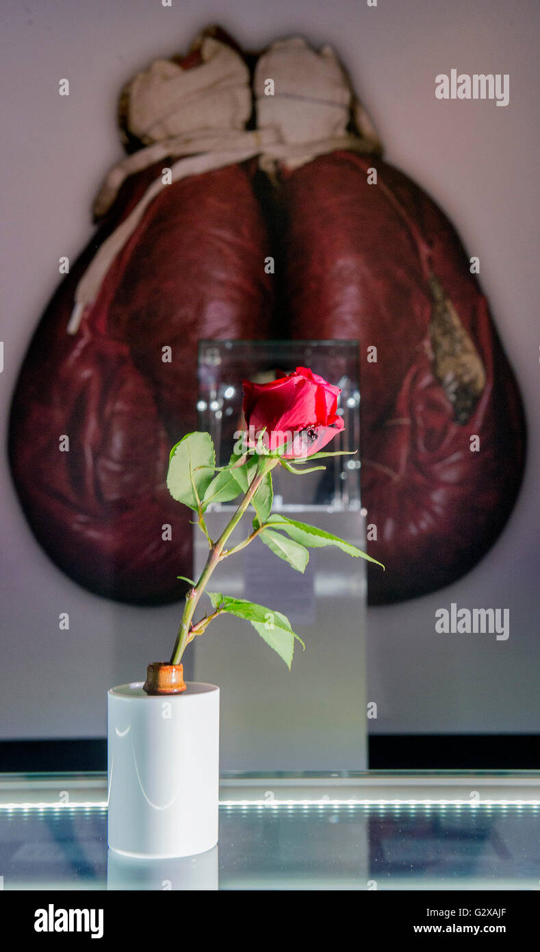 Nachdem der boxer im alter von 74 jahren gestorben ist -Fotos und ...