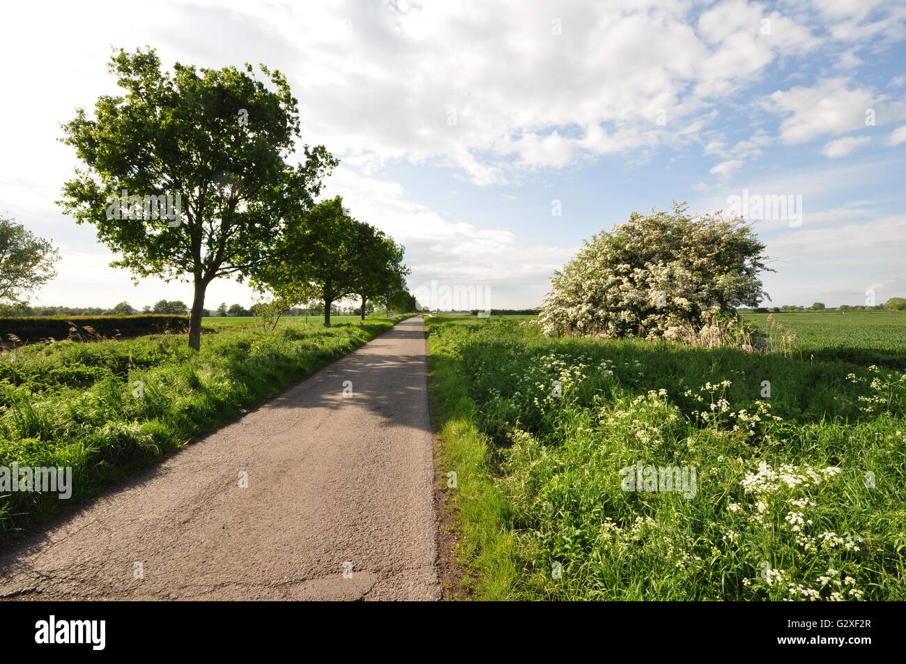 Upware cambridgeshire -Fotos und -Bildmaterial in hoher Auflösung – Alamy
