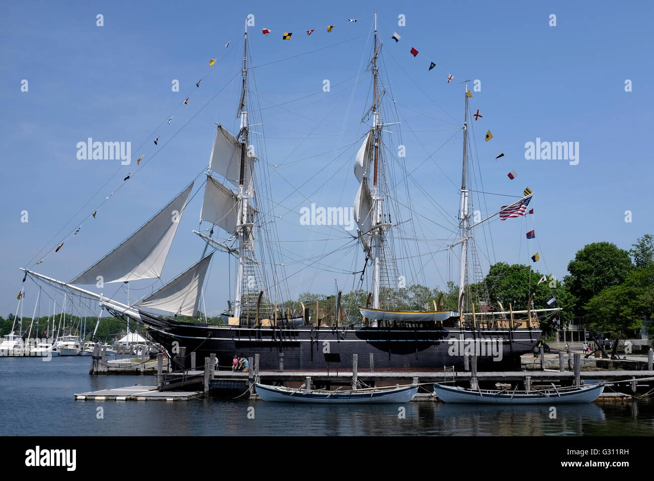 Walhai charles morgan -Fotos und -Bildmaterial in hoher Auflösung – Alamy