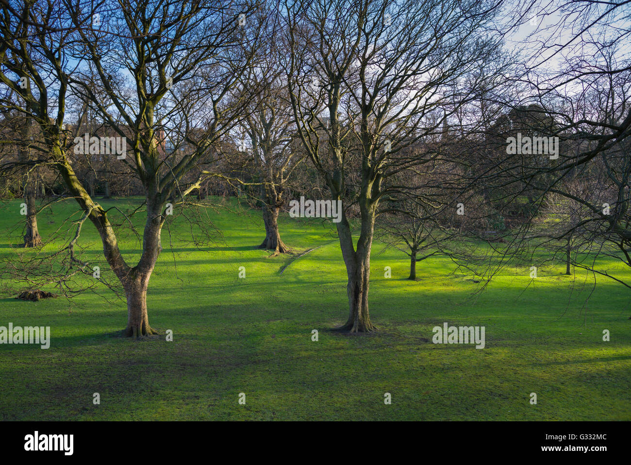 Edinburgh New Town - Queen Street Gardens, für den Zugriff nur für ...