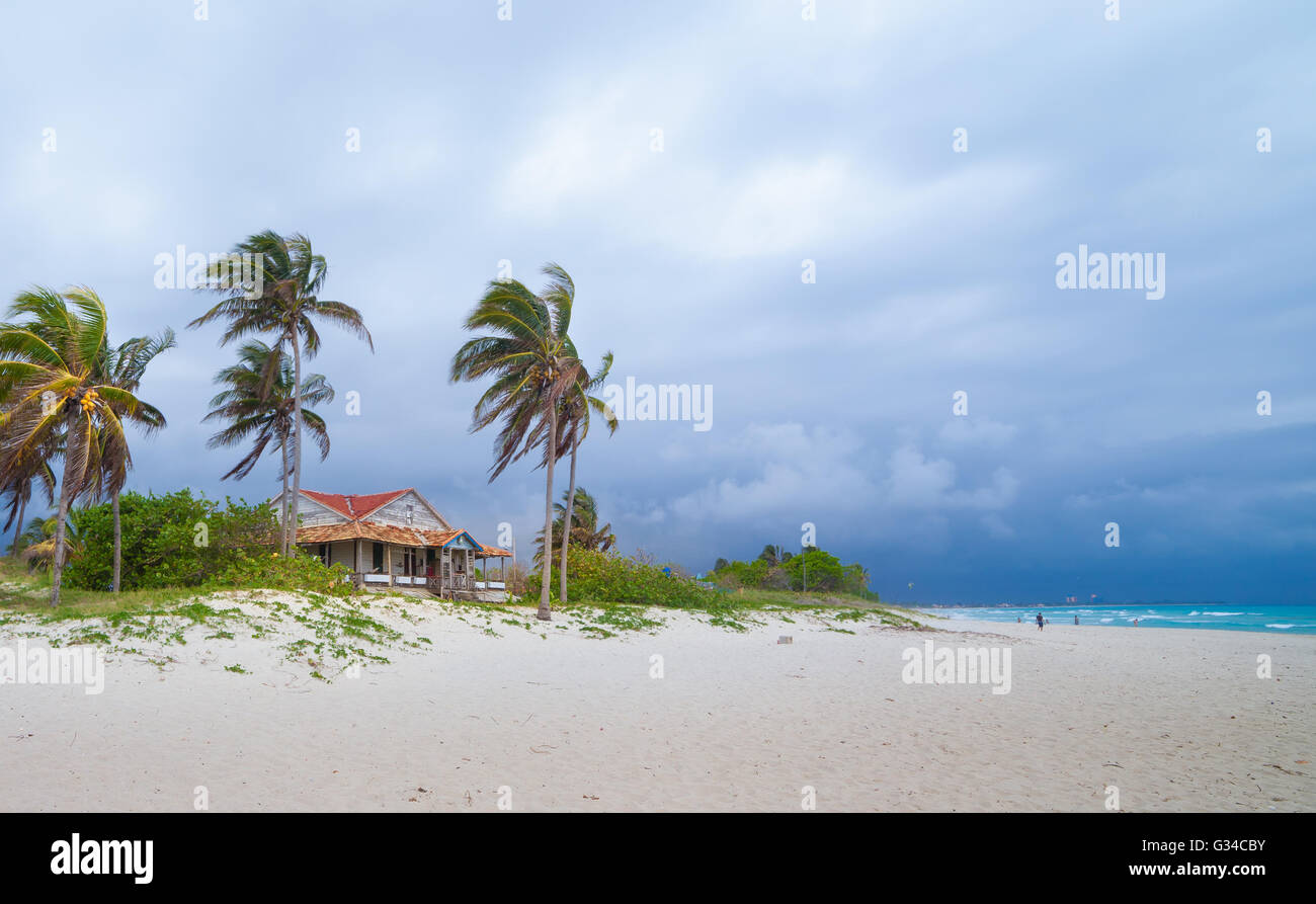 Haus mit palmen -Fotos und -Bildmaterial in hoher Auflösung – Alamy