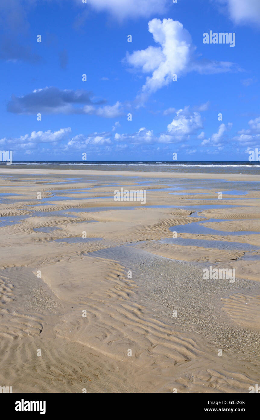 Wellige welligkeit markiert sand -Fotos und -Bildmaterial in hoher ...