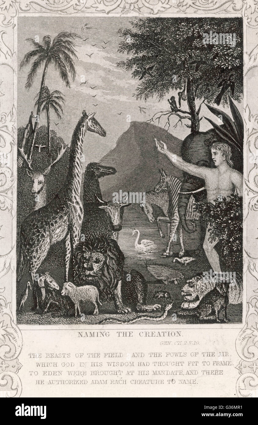 Adam im Garten Eden nennt Tiere Stockfotografie - Alamy