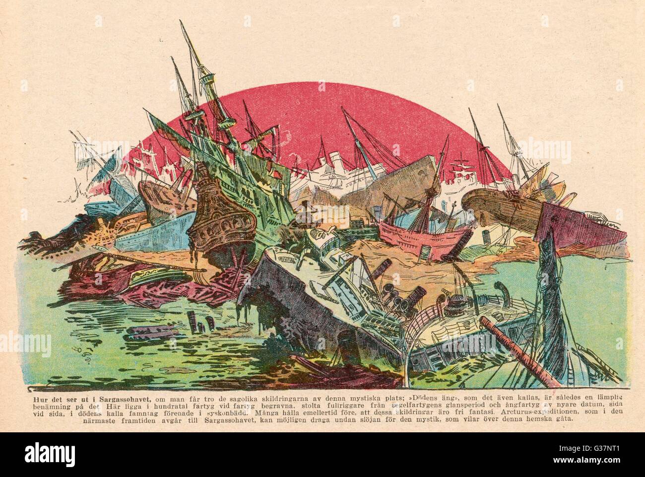 Sargasso meer -Fotos und -Bildmaterial in hoher Auflösung – Alamy