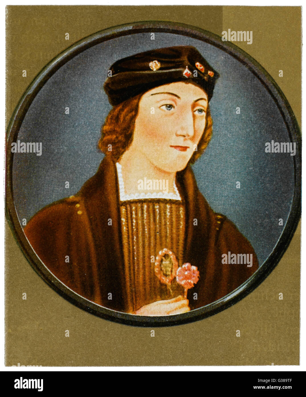 King henry vii portrait -Fotos und -Bildmaterial in hoher Auflösung – Alamy