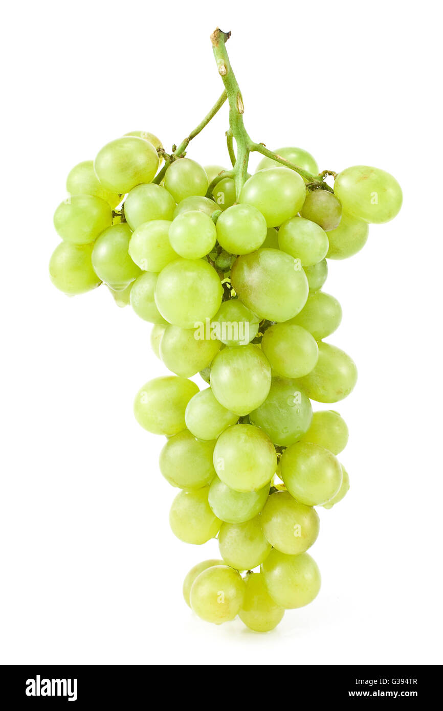 Weiße traube -Fotos und -Bildmaterial in hoher Auflösung – Alamy