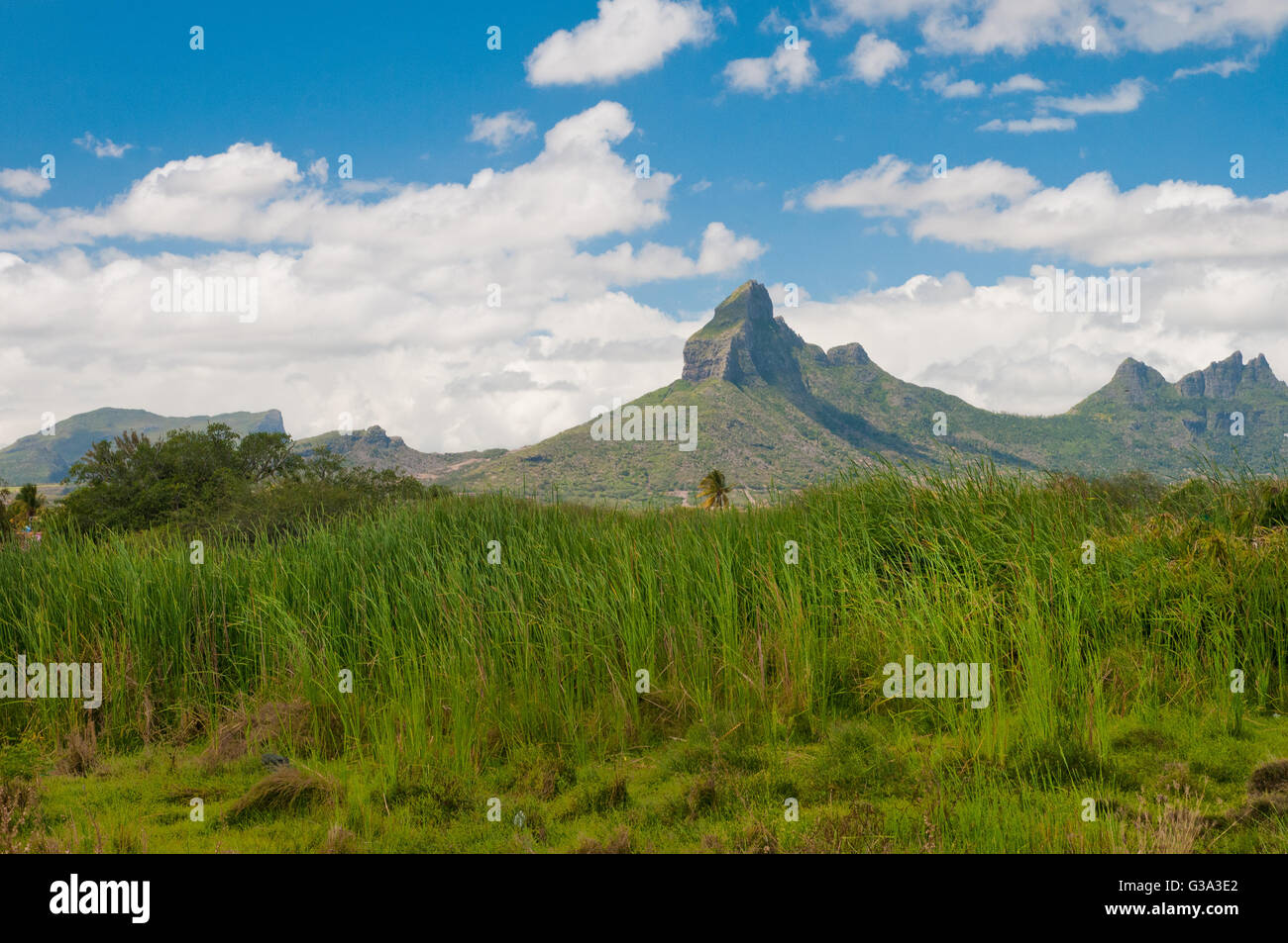 Piton de la petite rivière noire -Fotos und -Bildmaterial in hoher ...