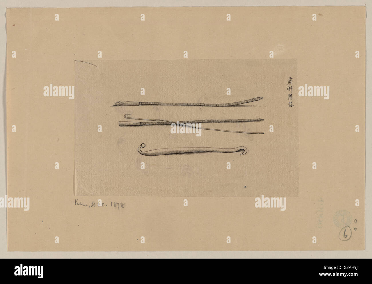 Stumpfe haken -Fotos und -Bildmaterial in hoher Auflösung – Alamy