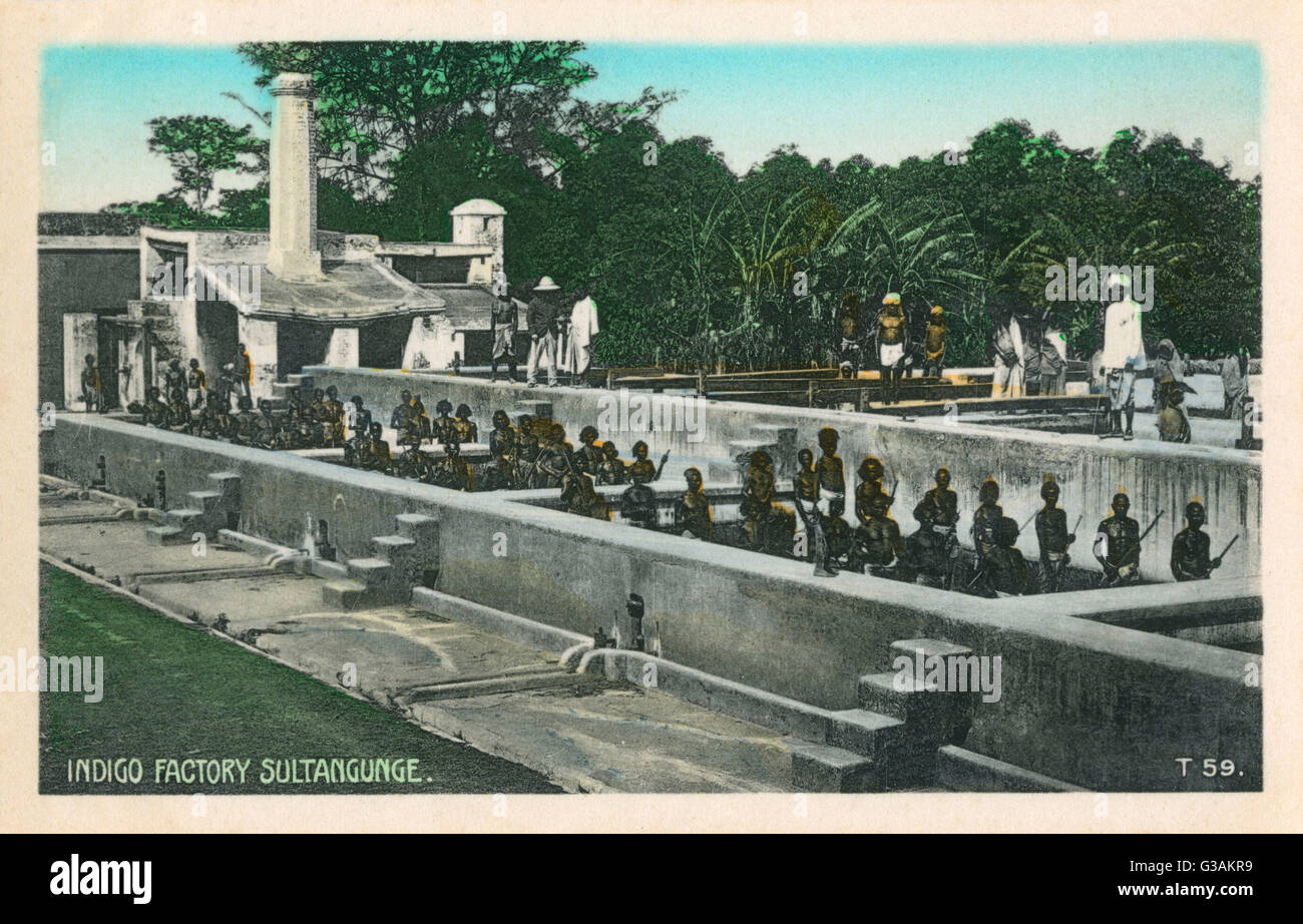 Indigo produktion -Fotos und -Bildmaterial in hoher Auflösung – Alamy