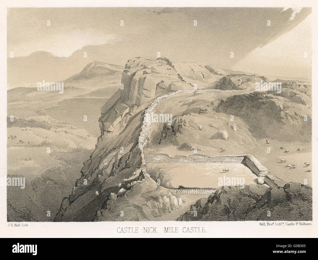 Nick castle -Fotos und -Bildmaterial in hoher Auflösung – Alamy