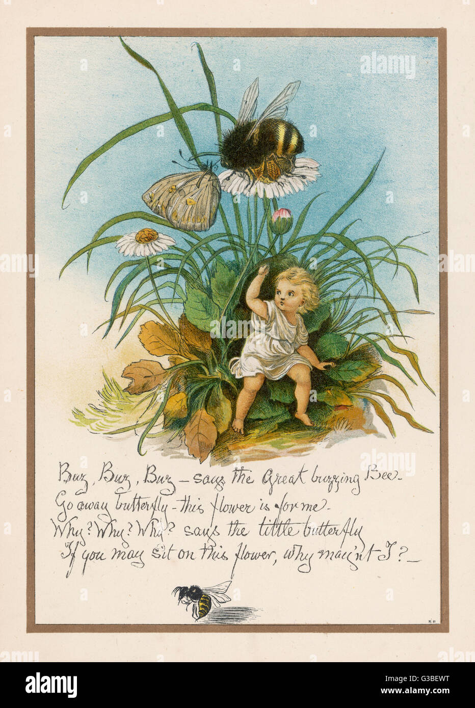 TOLLE, BRUMMENDE BIENE BOYLE Stockfotografie - Alamy