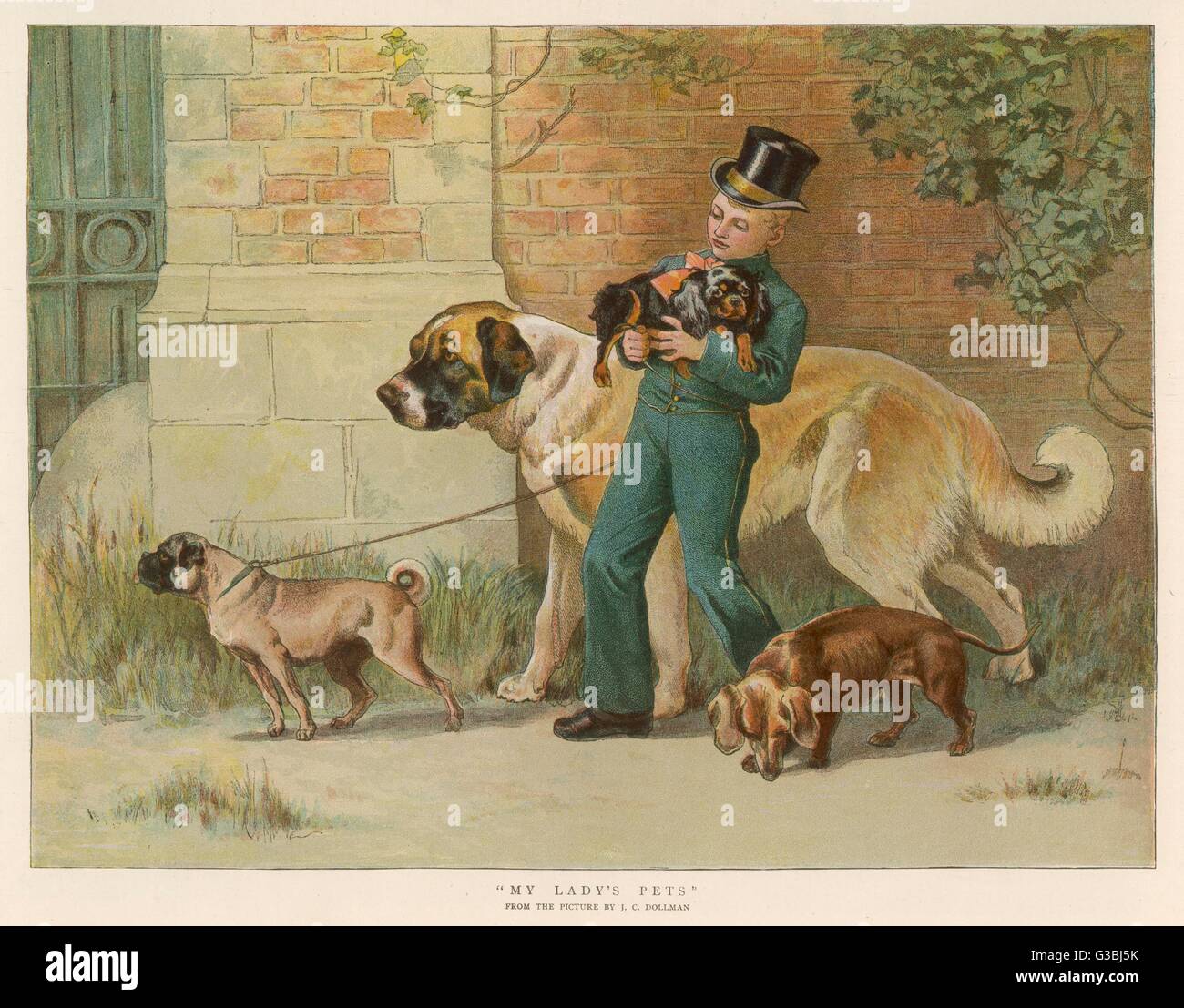 Diener Junge Stockfotos und -bilder Kaufen - Alamy