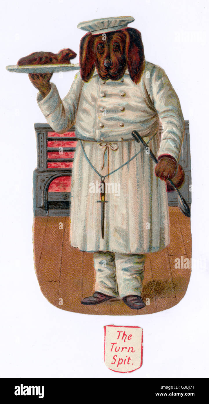The turnspit dog -Fotos und -Bildmaterial in hoher Auflösung – Alamy