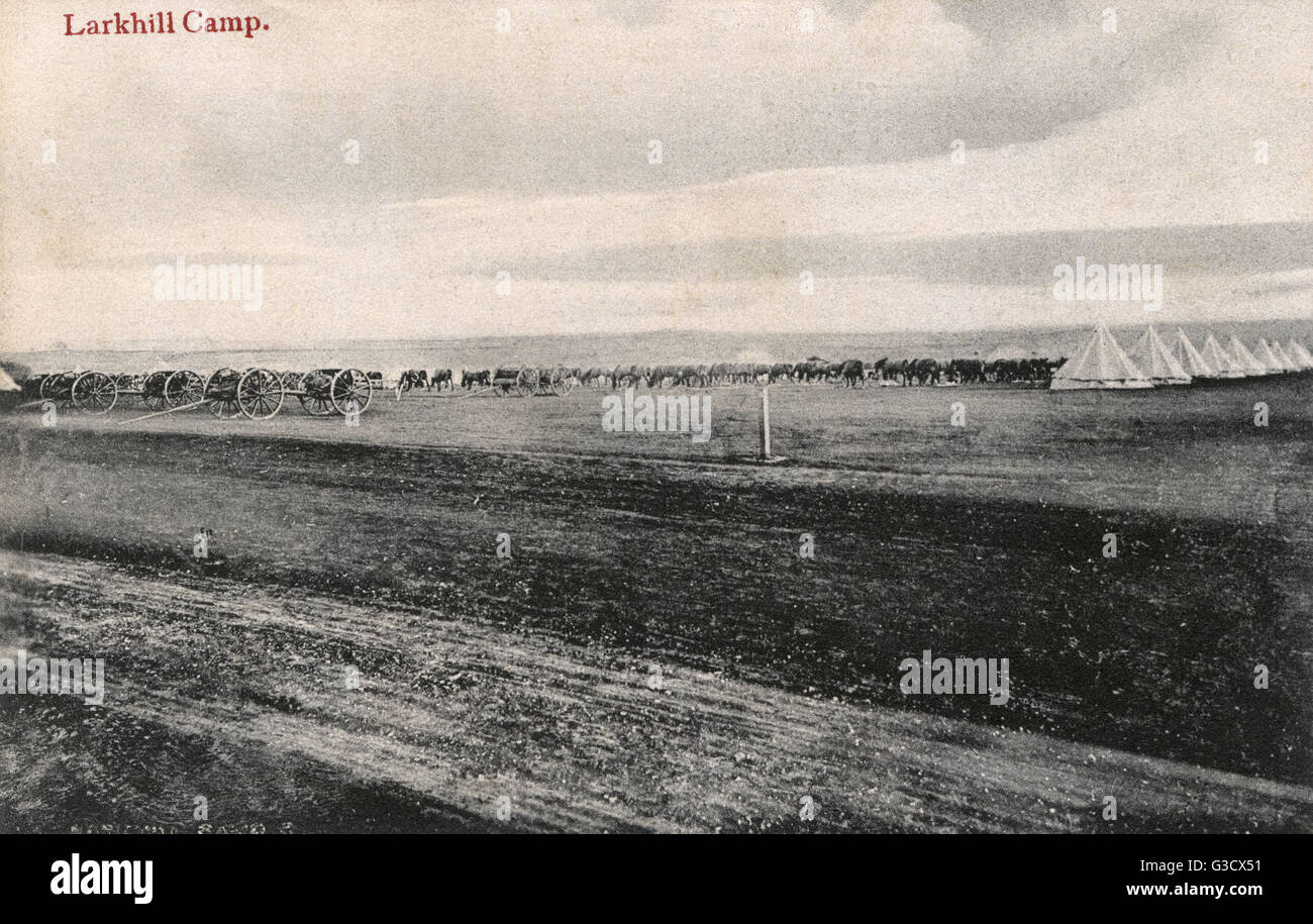 Larkhill camp -Fotos und -Bildmaterial in hoher Auflösung – Alamy