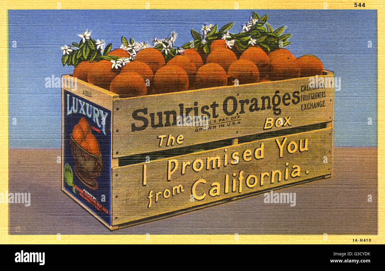 Sunkist oranges -Fotos und -Bildmaterial in hoher Auflösung – Alamy