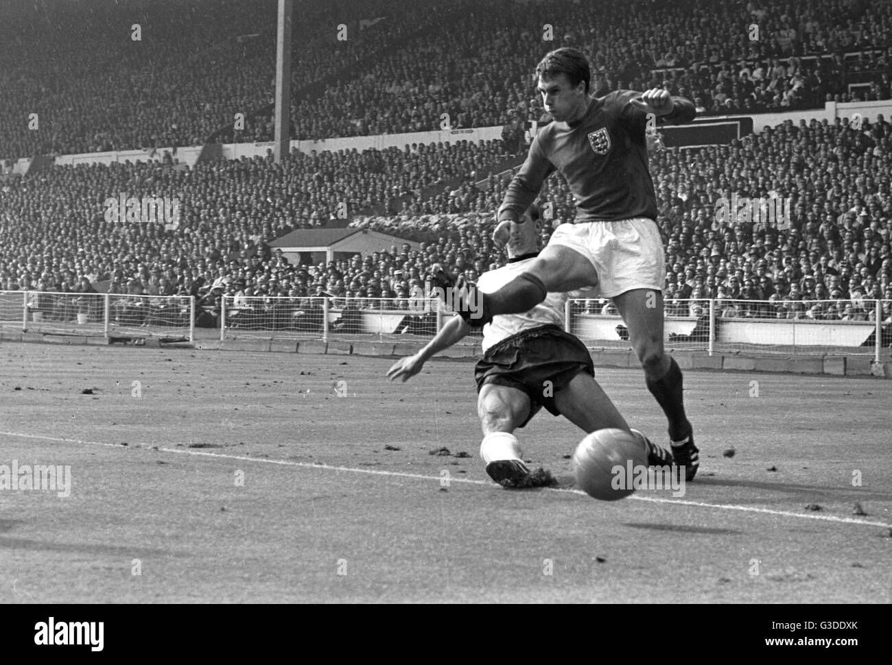 Willi Schulz Stockfotos und -bilder Kaufen - Alamy
