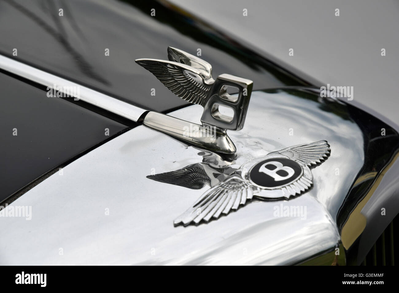 Bentley symbol -Fotos und -Bildmaterial in hoher Auflösung – Alamy