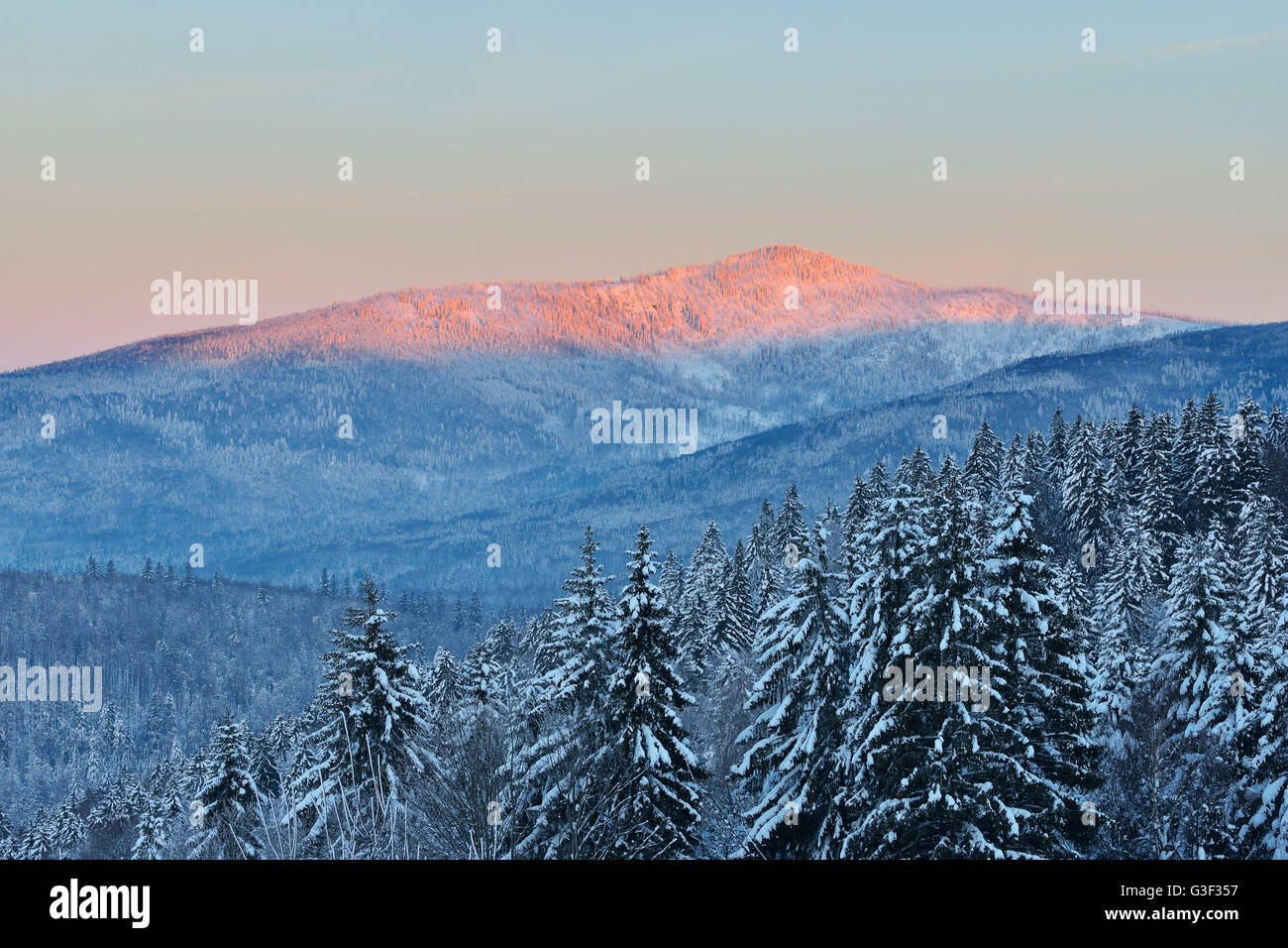 Nadelwald im Morgengrauen, Winter, Grafenau, Rachel, National Park ...