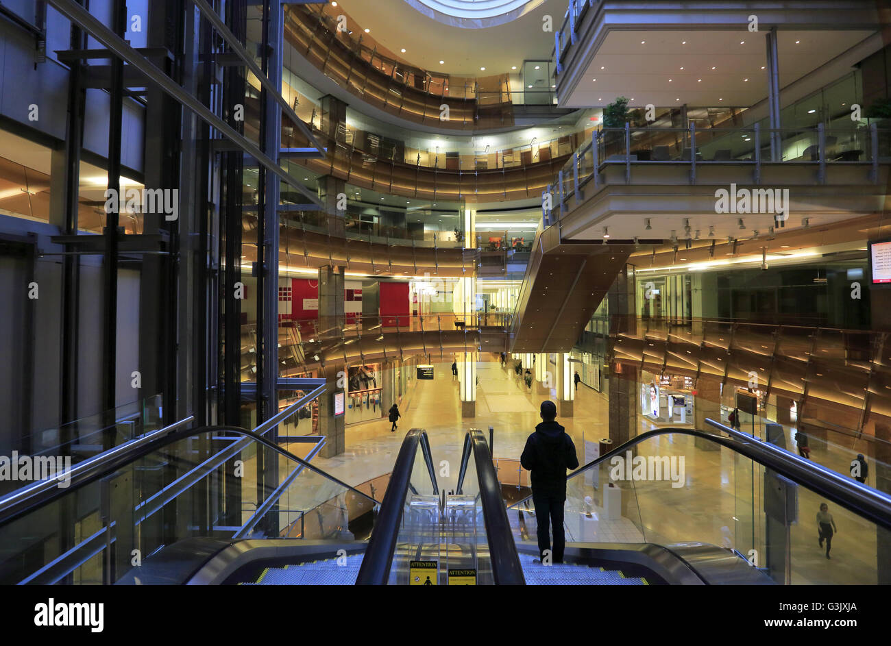 Complexe les ailes -Fotos und -Bildmaterial in hoher Auflösung – Alamy
