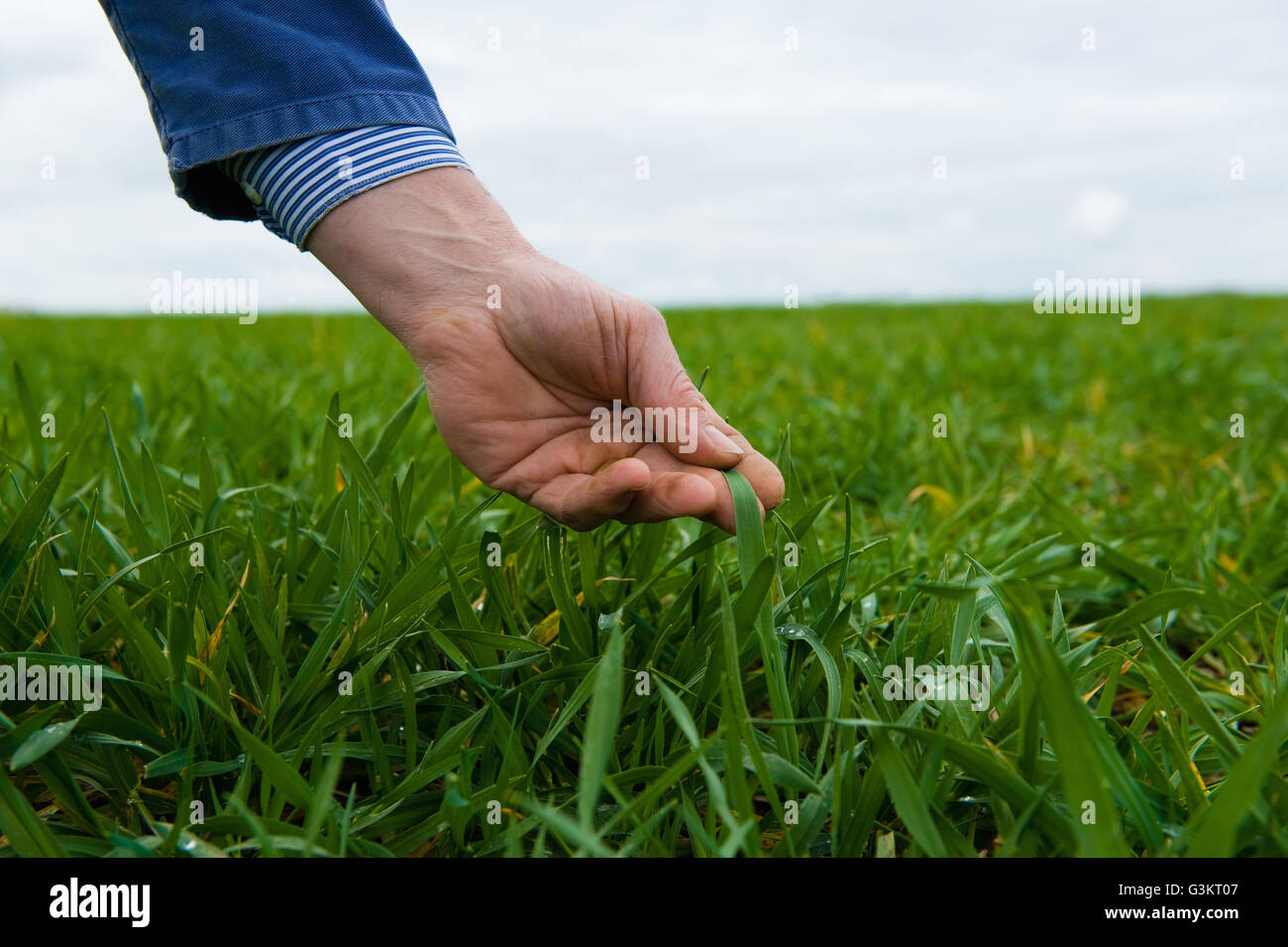 Bauer mit seiner ernte -Fotos und -Bildmaterial in hoher Auflösung – Alamy
