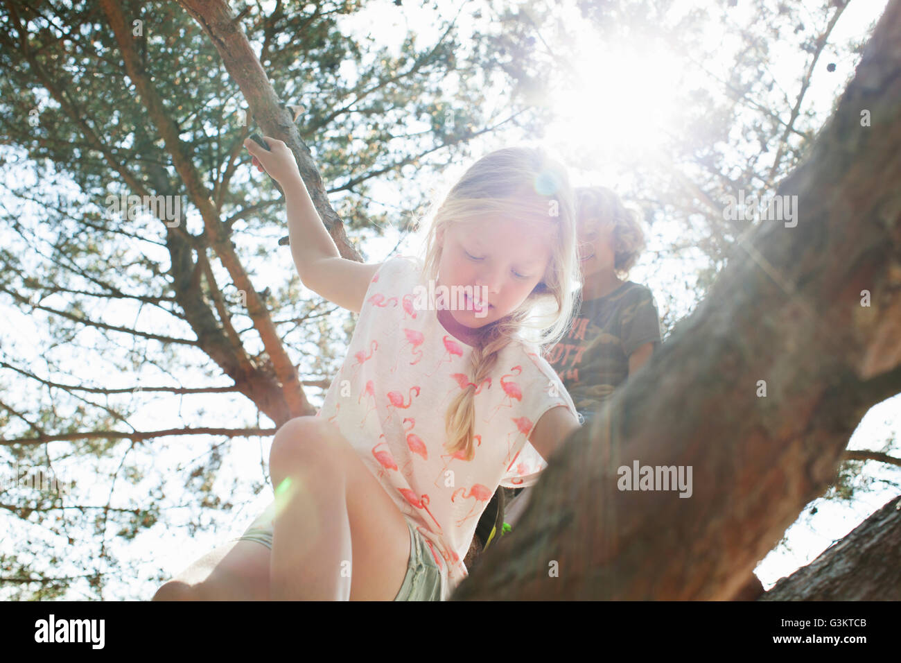 Kind baum klettern blond -Fotos und -Bildmaterial in hoher Auflösung ...