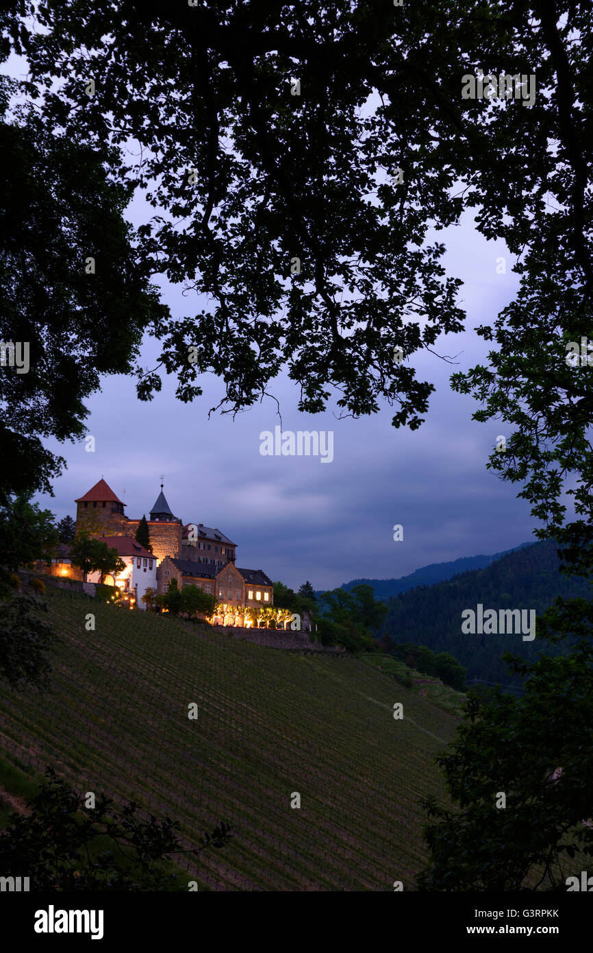 Schloss Eberstein und Weinberge, Deutschland, Baden-Württemberg ...