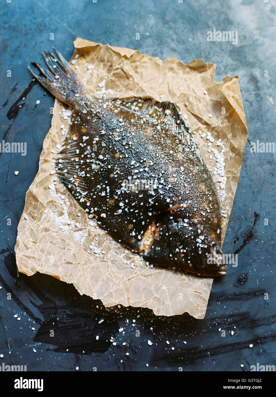 Platichthys Flesus European Flounder Stockfotos und -bilder Kaufen - Alamy