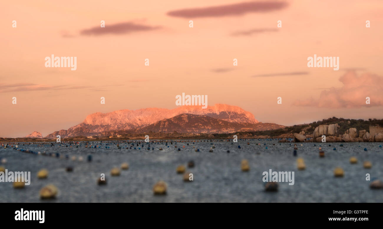 Tavolara punta -Fotos und -Bildmaterial in hoher Auflösung – Alamy