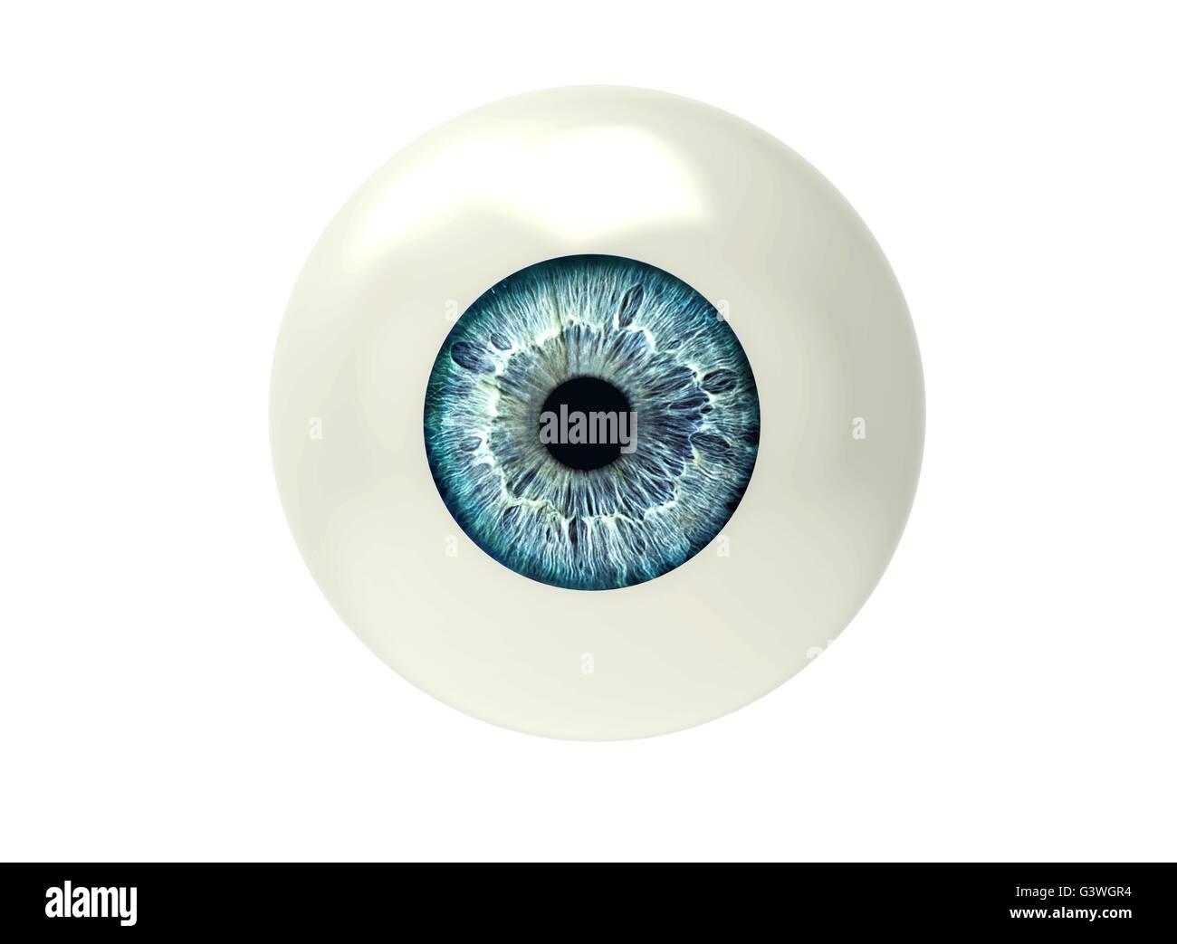 Eye ball -Fotos und -Bildmaterial in hoher Auflösung – Alamy