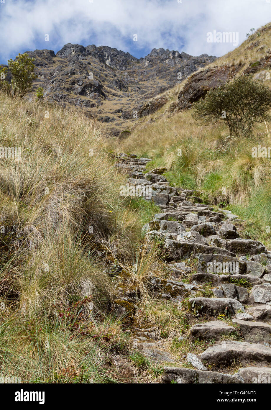 Inka schritte -Fotos und -Bildmaterial in hoher Auflösung – Alamy
