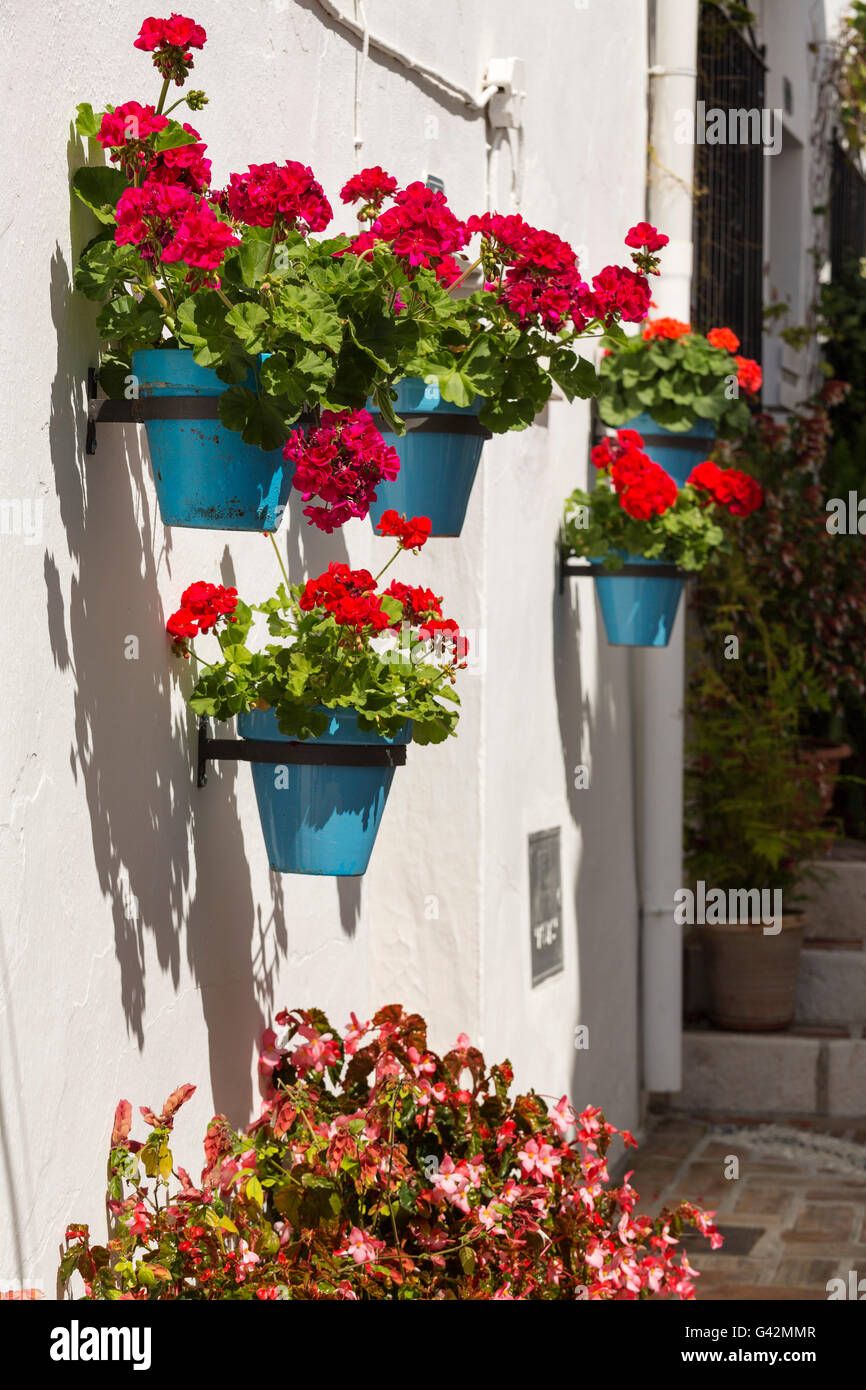 Geranien Blumen in einem Topf. Weiße Dorf Mijas, Provinz Malaga, Costa ...