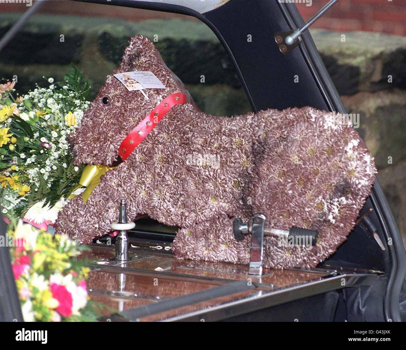 Ergreifender Kranz in Form eines Hundes bei der Beerdigung der ...