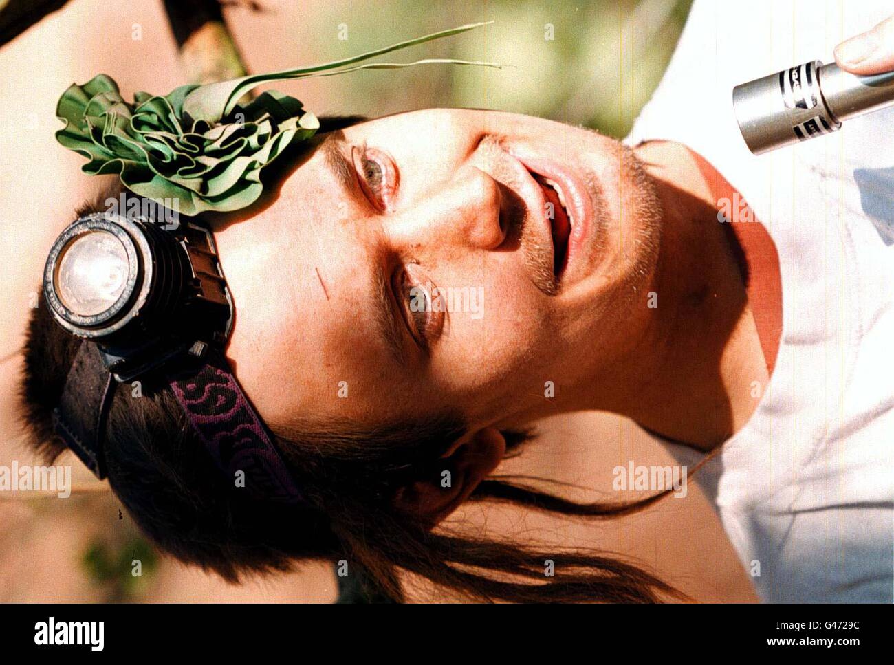 4 und sumpfig -Fotos und -Bildmaterial in hoher Auflösung – Alamy