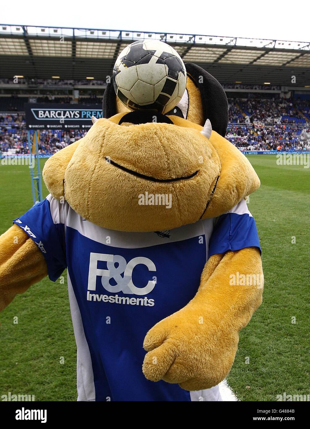 Birmingham city beau brummie auf dem spielfeld das match -Fotos und ...