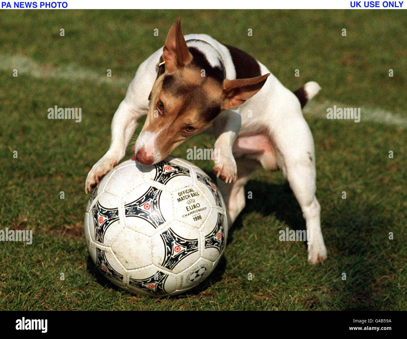 PA NEWS PHOTO 19/2/98 : UK USE ONLY BORIS BECKER WITH HIS WIFE BARBARA ...