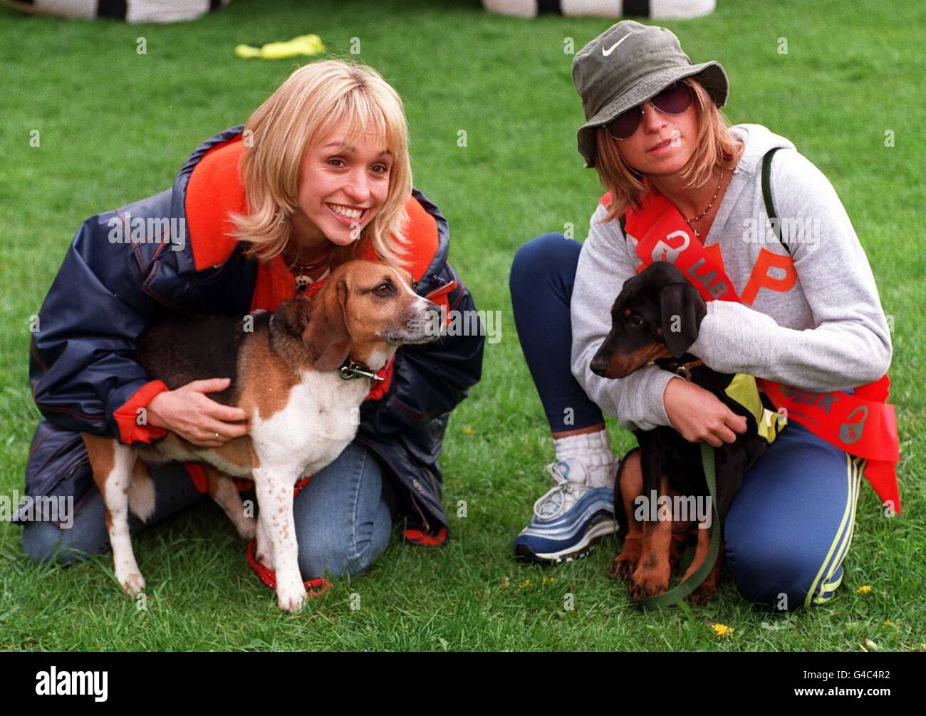 Nationale anti vivisektionsgesellschaft -Fotos und -Bildmaterial in ...