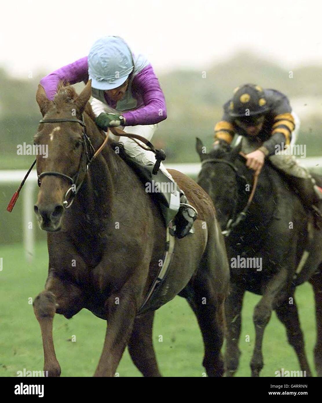 Neuheit unternehmen -Fotos und -Bildmaterial in hoher Auflösung – Alamy