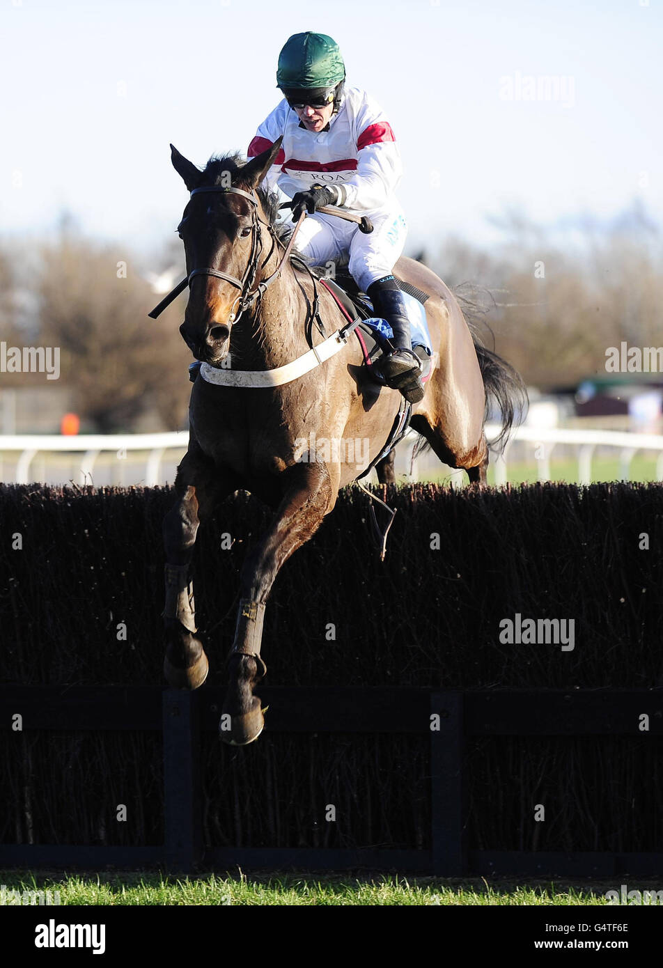 Der Jockey Graham Lee reitet seinen 1.000sten Gewinner auf Posh Bird in ...