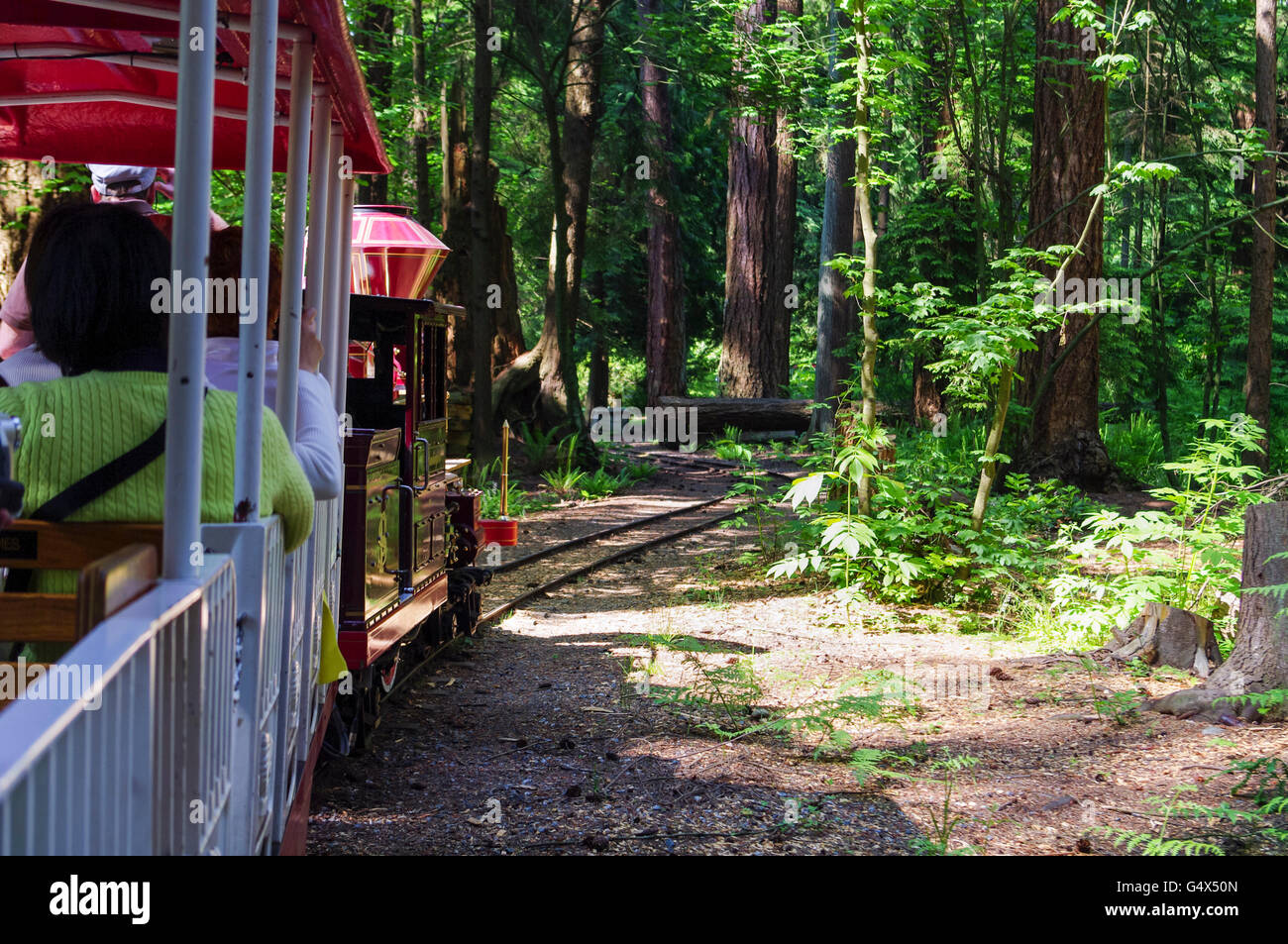 Zug in den wald Stockfotos und -bilder Kaufen - Alamy