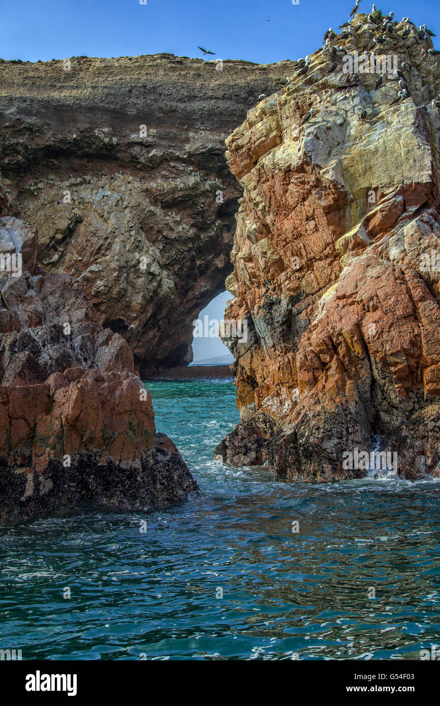 Naturschutzgebiet paracas und die ballestas inseln -Fotos und ...