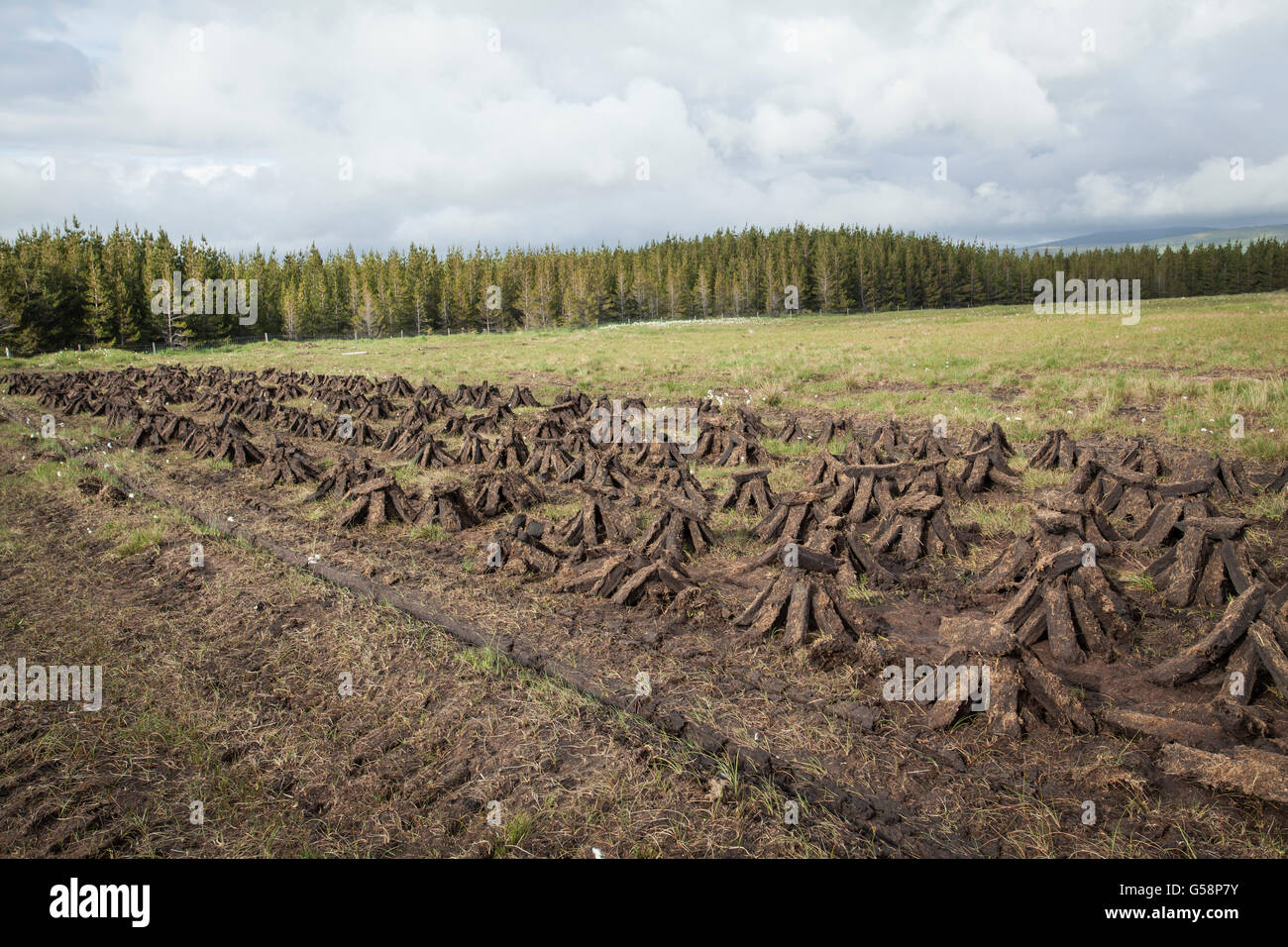Stapelt torf -Fotos und -Bildmaterial in hoher Auflösung – Alamy