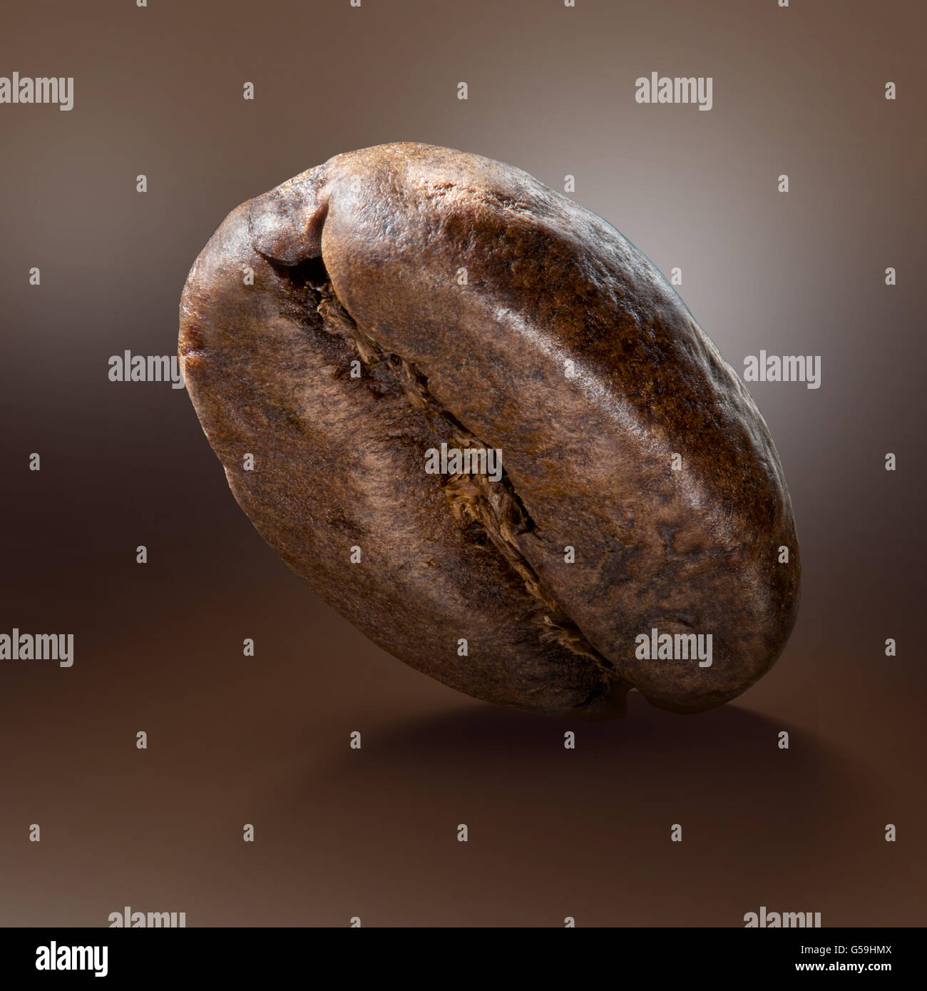 Grosse kaffeebohne -Fotos und -Bildmaterial in hoher Auflösung – Alamy