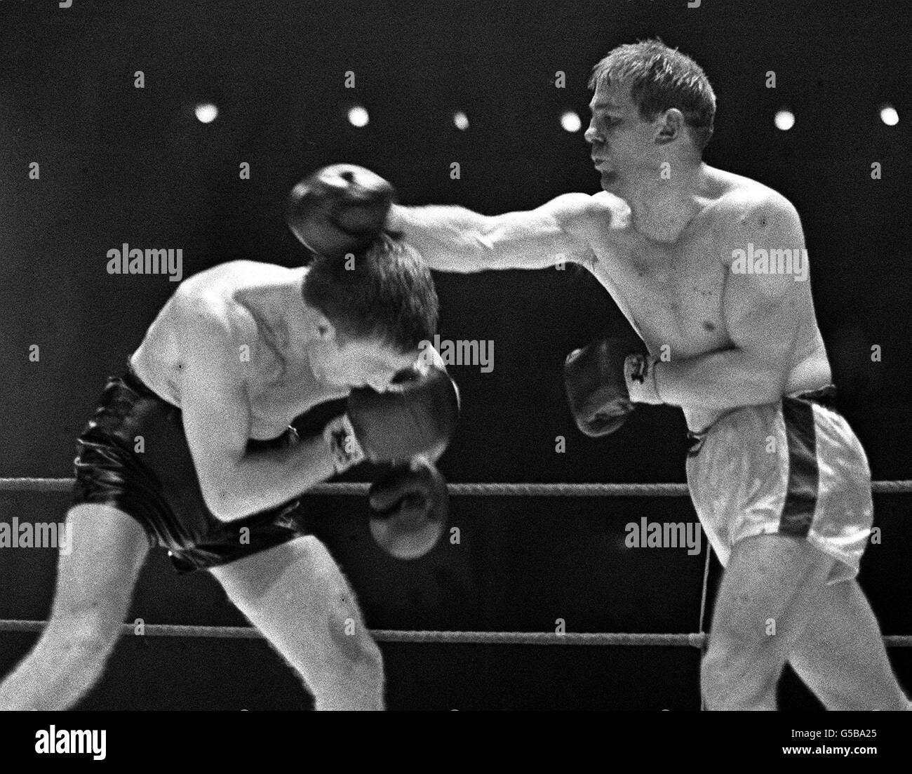Boxkampf in der royal albert hall -Fotos und -Bildmaterial in hoher ...