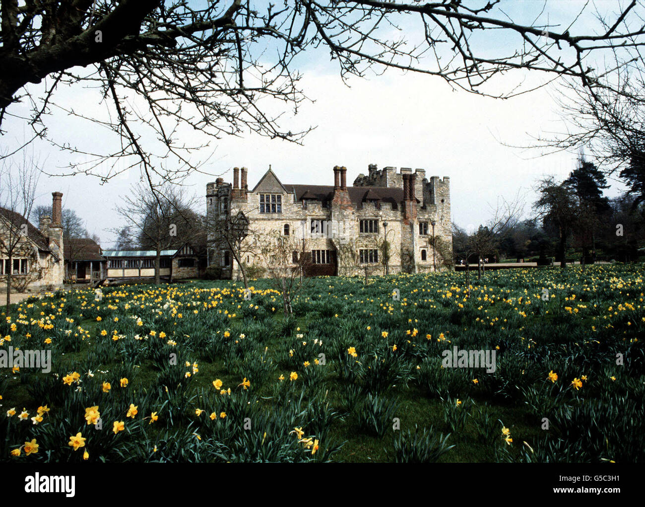 HEVER CASTLE: Die Narzissen von Hever Castle, Kent, dem Zuhause von ...