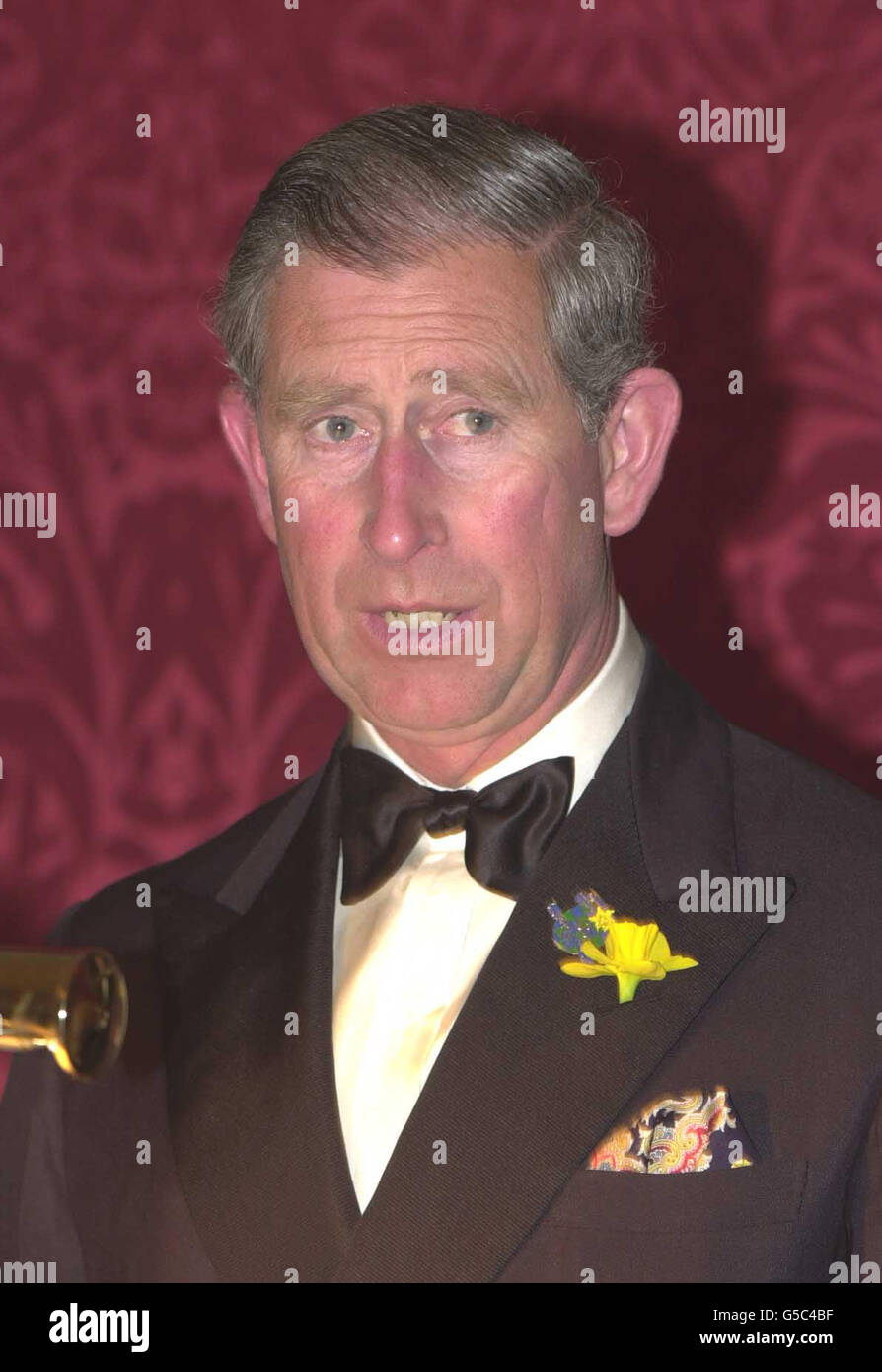 Anne coyle und catherine le roy im st james palace -Fotos und ...