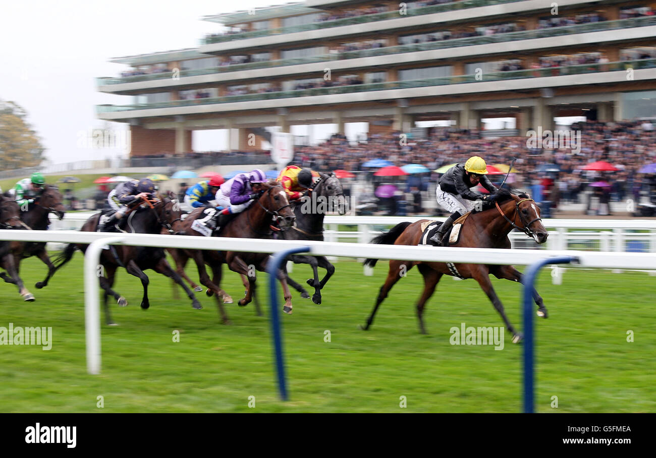 Biograph mit Ted Durcan auf dem Weg zum Sieg im Keltbray Noel Murless ...