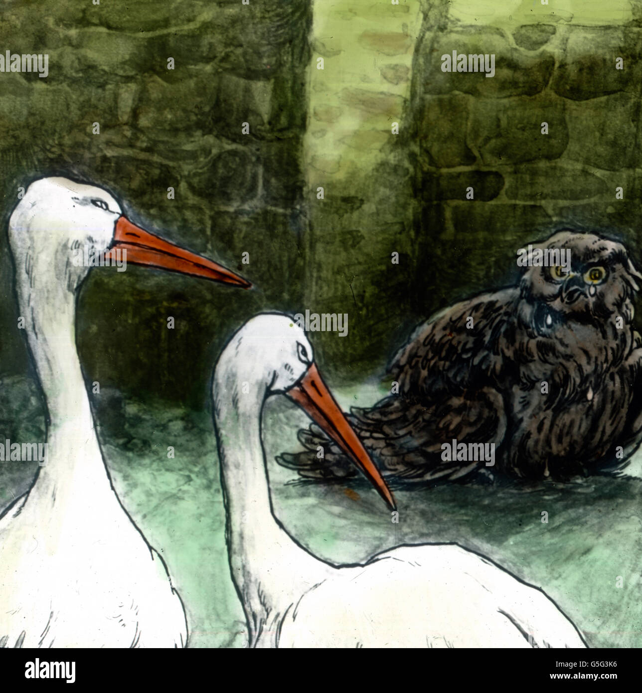 Kalif Storch. Kalif Storch. Geschichte, historische, 1910er Jahre ...