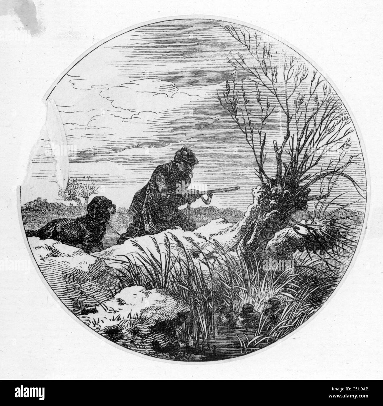 Jagd, Enten, Entenjagd, Holzstich, 19. Jahrhundert, 19. Jahrhundert ...